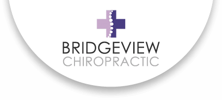 Health Care Services - Bridgeview Medical Group